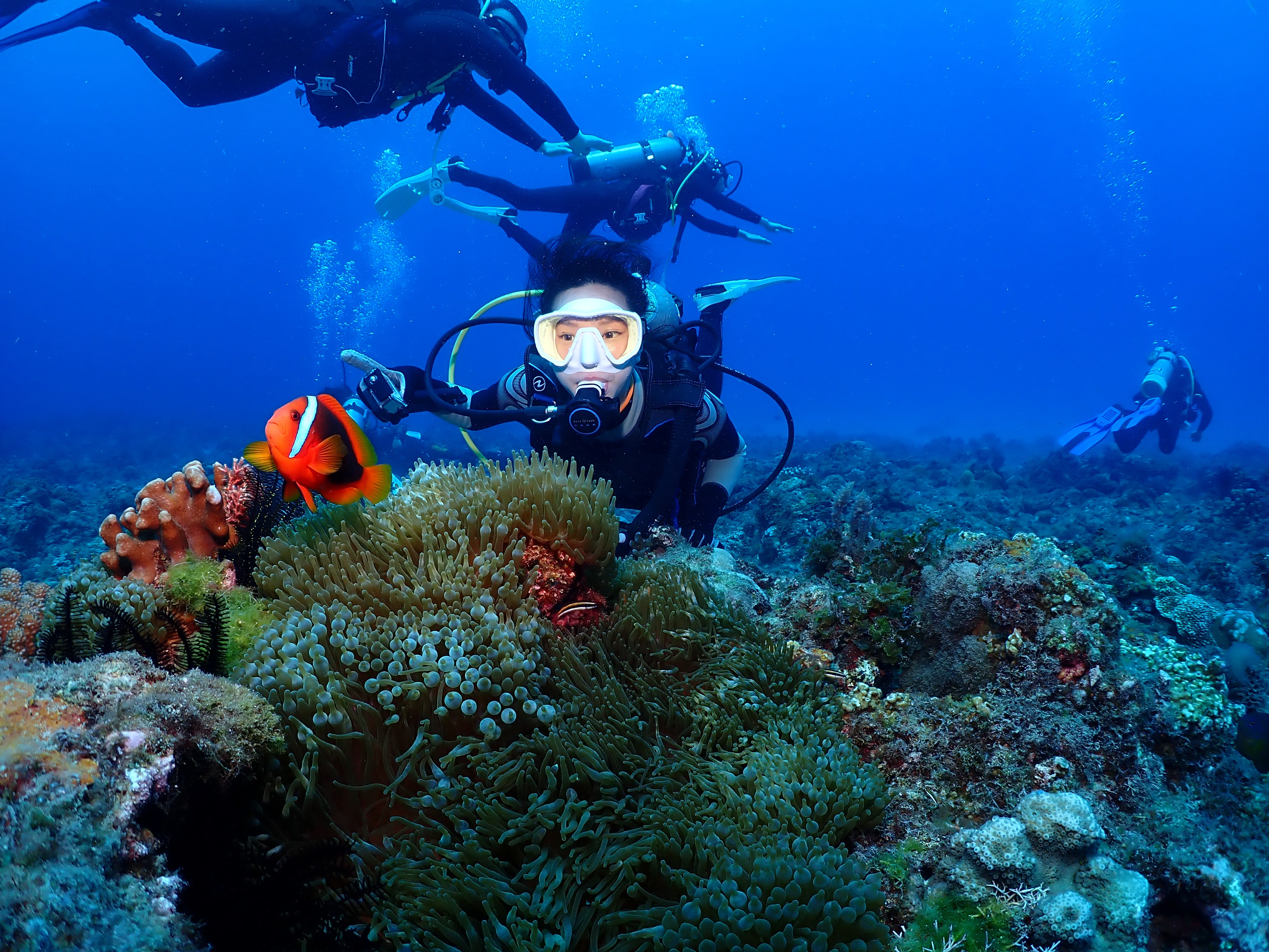 Why You Need a UV Diving Mask for Diving and Snorkeling – Saekodive USA